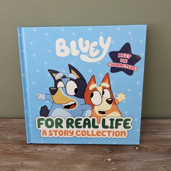 Original Penguin | Other | Hardcover Bluey For Real Life A Story ...